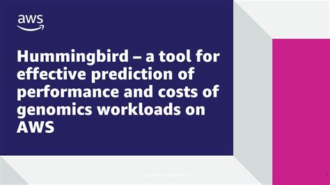 Hummingbird A Tool For Effective Prediction Of Performance And Costs