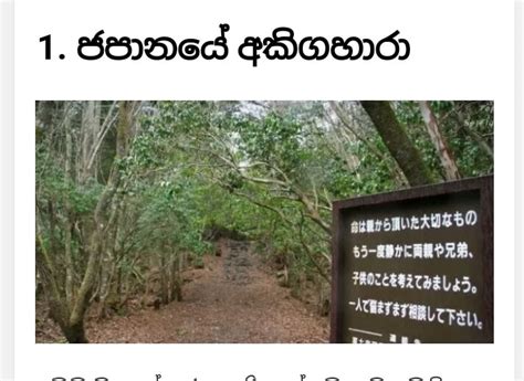 ලොකයේ ලොකු වැඩ ලෝකයේ වඩාත්ම හොල්මන් වනාන්තර 10