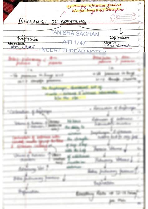 Solution Respiratory System Ncert Thread Notes Studypool