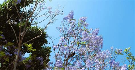 Azure Api Management Basic V2 And Standard V2 Ga Enhancing Scalability Security And