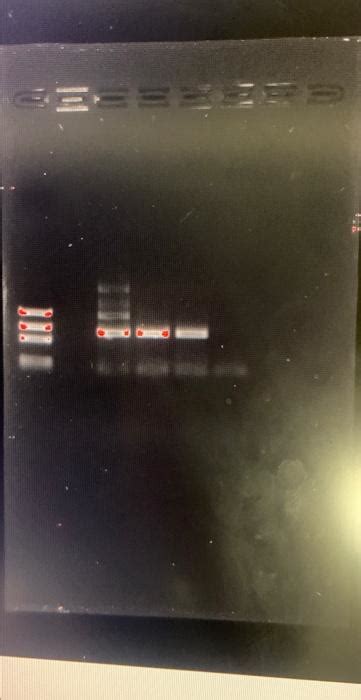 Create A Table Detailing The Results From The