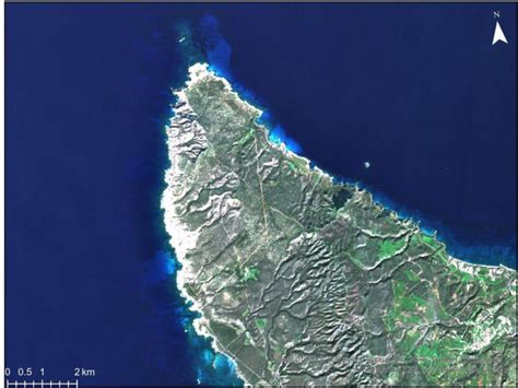 Sentinel 2a Image That We Implemented Seagrass Mapping Classification Download Scientific