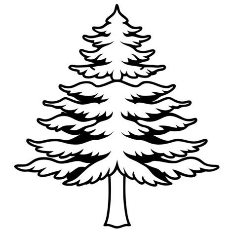 Cedar Tree Outline Coloring Book Page Line Art Drawing Premium Ai