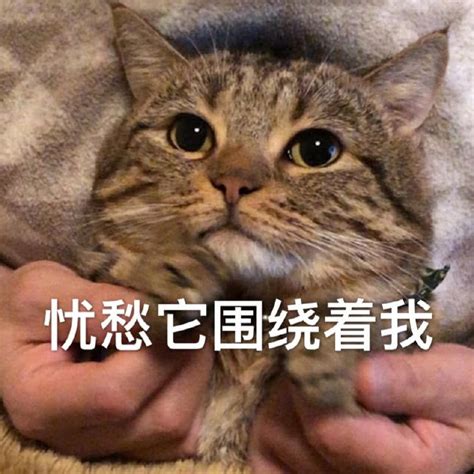 表情包：其实我不太快乐