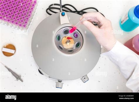 Researcher Using Laboratory Equipment Putting Sample Tube In Centrifuge Machine To To Do The