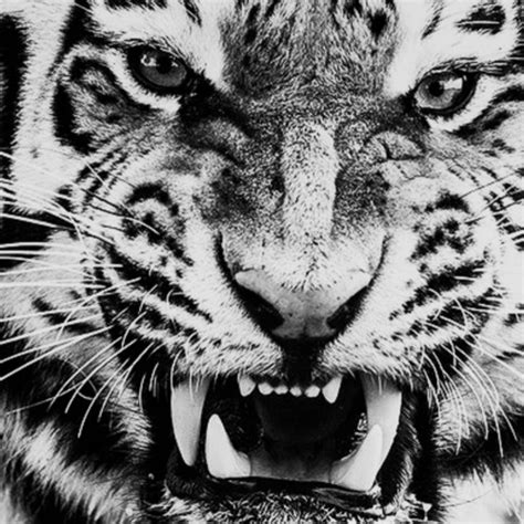 Stream Roman Martynenko Music Listen To Songs Albums Playlists For Free On Soundcloud