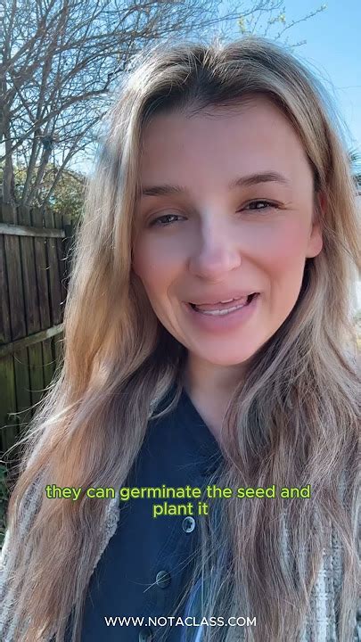 Ananthan Krishnans Instagram Twitter And Facebook On Idcrawl