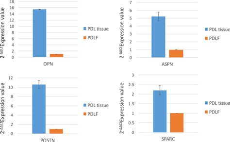 Comparison Of Gene Expression Between PDL Tissue And PDLFs By Download Scientific Diagram