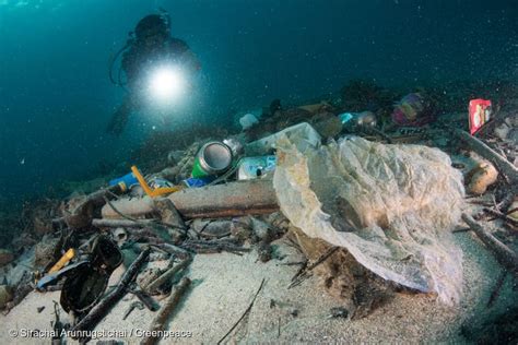 Gawat Banyak Plastik Ikan Dan Ekosistem Laut Terancam Bahaya