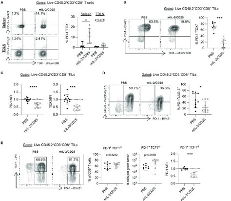Cd8 T Cells From Hd Mil 2cd25 Treated Ct26 Bearing Mice Are Less