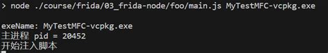 【frida】03 初识frida node frida nodejs csdn博客