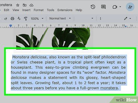 How To Create Vertical Lines In Google Docs Quickly Easily