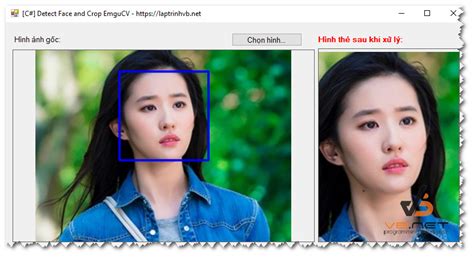 [c ] hướng dẫn detect face and crop image sử dụng emgucv trong lập