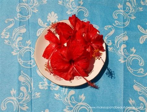Hibiscus Hair Pack To Combat Dry Hair And Dandruff Before And After