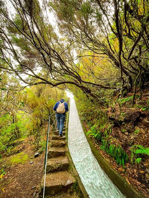 10 CONSEJOS Para Viajar A Madeira Y No Cagarla