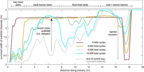 Summed Width Of Subtidal Area Showing The Development Of Bay‐head Download Scientific Diagram