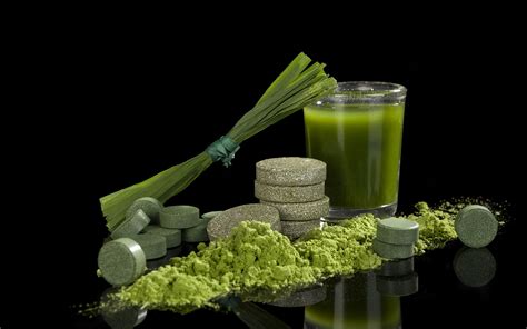 Are Capsules Or Powders Better To Supplement With Onnit Academy
