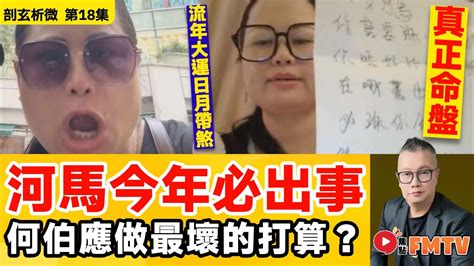 真正河馬命盤分析 流年大運日月帶煞必出事河馬何伯應做人生最壞的打算 剖玄析微EP18CC字幕Wilfred師傅