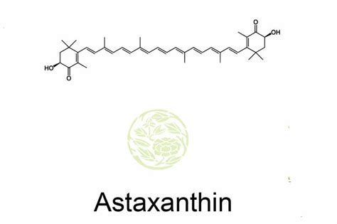 Astaxanthin sources | Health benefits of astaxanthin