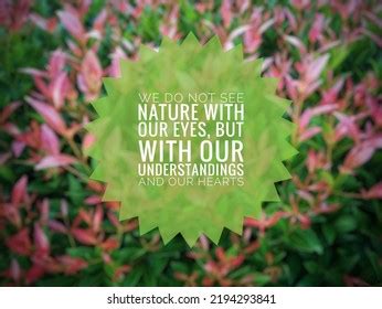 7 244 Our Heart Images Stock Photos Vectors Shutterstock