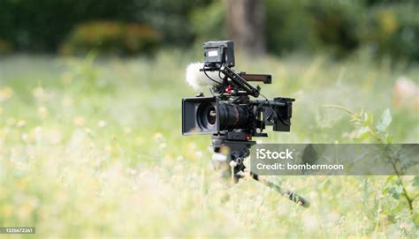 촬영 감독용 모니터가 장착된 영화 카메라 또는 다큐멘터리 그리고 좋은 품질의 사운드를 녹음하기위한 붐 마이크 아름다운 화창한 날에 꽃밭 한가운데에 놓아 물막이 판자에 대한