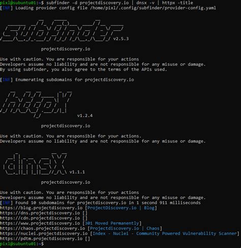 Dnsx Sometimes Eats Piped Inputs And Doesn T Pipe Out Issue 244 Projectdiscovery Dnsx GitHub