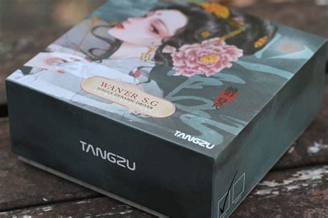 Chi Fi IEM Review TANGZU Waner S G IEMs That Combine A Heavy Low