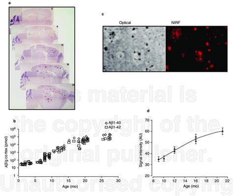 Near Infrared Fluorescence Nirf Imaging Of An App23 Mice Model Of Download Scientific Diagram