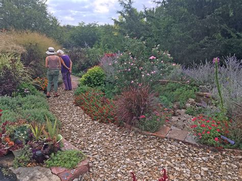 Pollinator Friendly Annuals Archives Dyck Arboretum