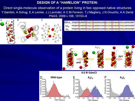 Protein Structure Prediction Engineering Design презентация онлайн