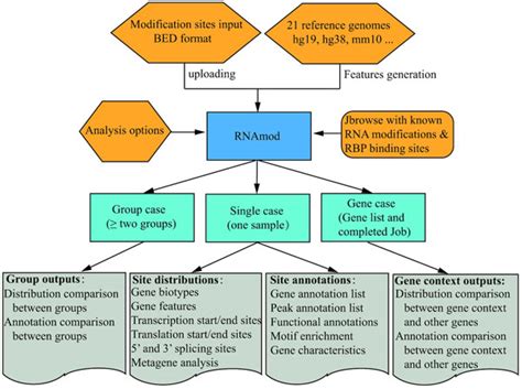 RNAmod An Integrated System For The Annotation Of MRNA Modifications RNA Seq Blog