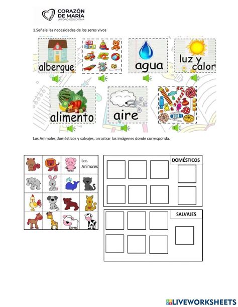 Examen ComprensiÓn Del Medio Natural Y Cul Worksheet Live Worksheets