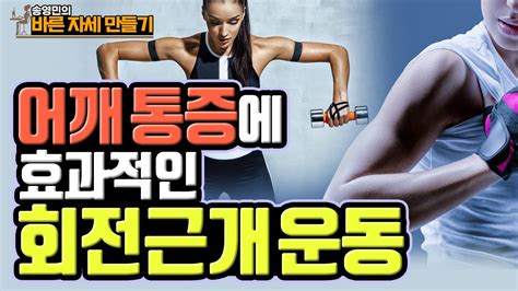 어깨 근육 구조 완벽 해부와 기능 이해하기