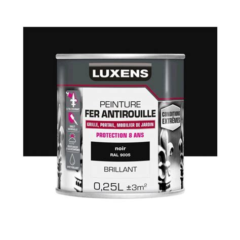 Peinture Fer Extérieur Et Antirouille Noir Brillant 025l Sanifer Tamatave