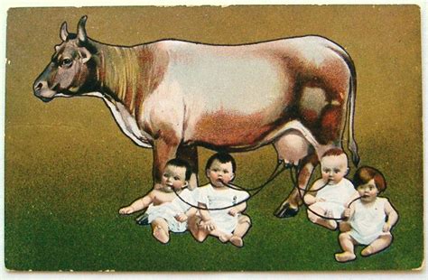 Kuweight 64 Chinese Cows Produce Human Breast Milk