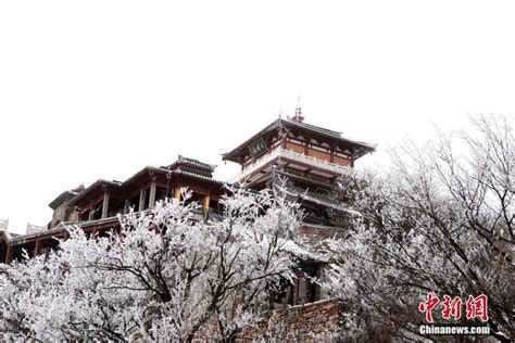 王屋山飘落“桃花雪” 俯瞰天坛极顶尤为壮观手机凤凰网