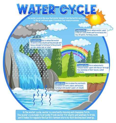 Poster Zum Wasserkreislauf