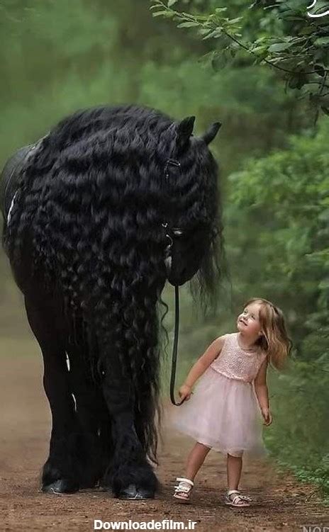 عکس های پروف بچه گانه