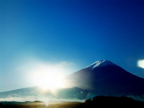 正月飾りや正月花の意味と種類 喪中や忌中の時はどうする？ ｜ 知恵の焦点