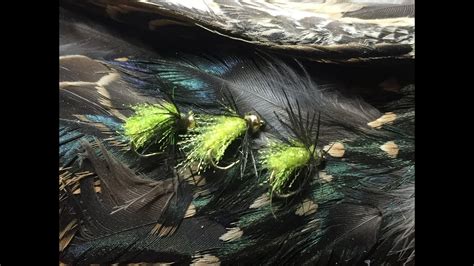 Fly Tying Organza Sparkle Caddis Pupa YouTube