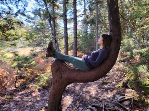 This Tree Grew In A Curve Rmildlyinteresting