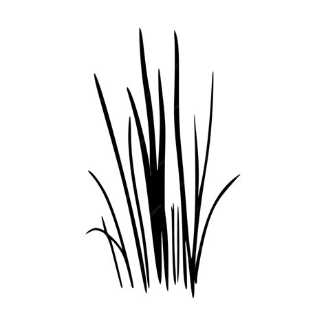 Premium Vector Grass Natures Silhouette Botanical Vector Illustration