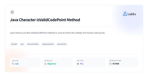 Java 의 Isvalidcodepoint 메서드 탐구 Labex