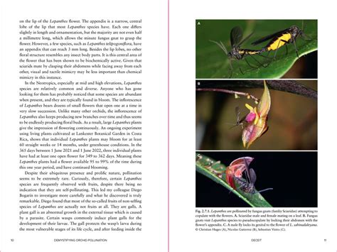 Demystifying Orchid Pollination Veldshopnl