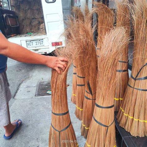 Walis Tingting Bundle Regular Size Lazada Ph