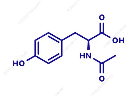 N-acetyl-tyrosine molecule, illustration - Stock Image - F027/8899 ...