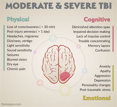Traumatic Brain Injury And Its Effects On Students HubPages