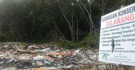 Kawasan Konservasi Mangrove Di Kuta Jadi Tempat Pembuangan Sampah
