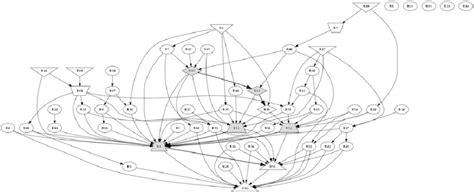 Structure Of The Project Risk Network With Highlighted Important Risks