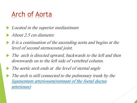 Aortaandits Branches Pptxpptx